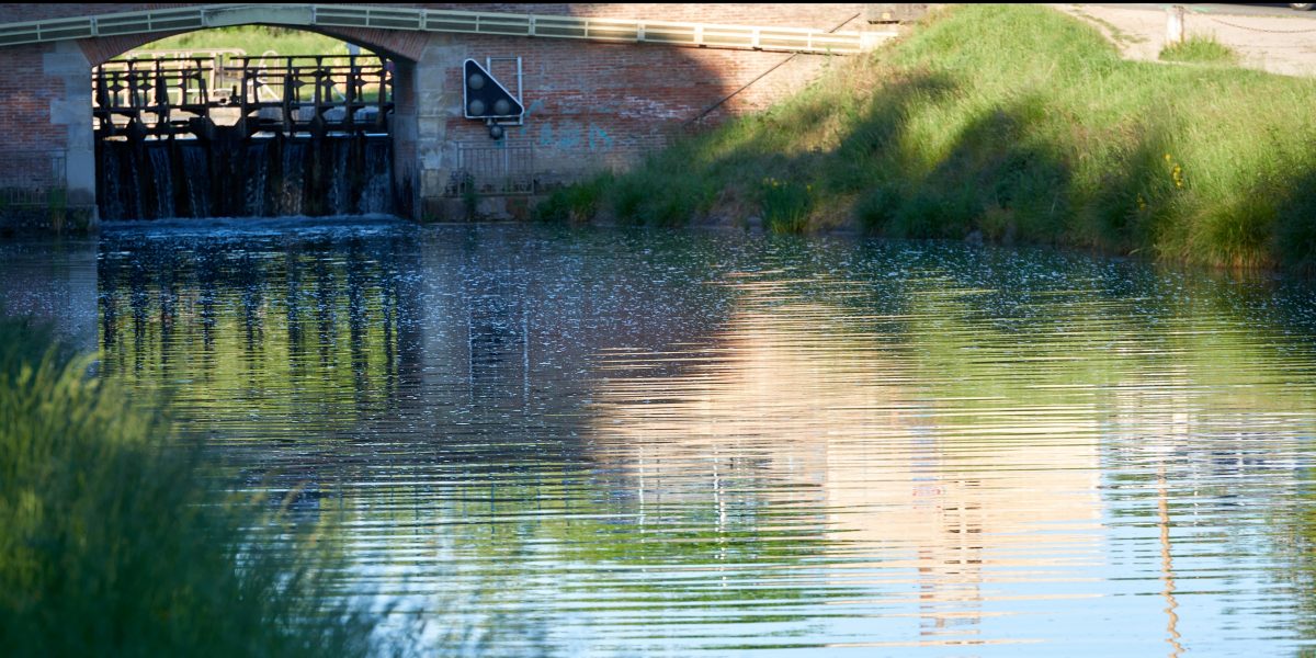 Activités fluviales | Montauban Tourisme